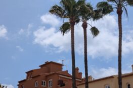 Javea Nightlife: Guide to the Best Nightclubs & Bars - Visit Javea